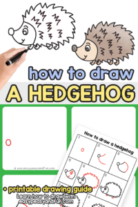 How to Draw a Hedgehog – Step by Step Drawing Tutorial - Easy Peasy and Fun