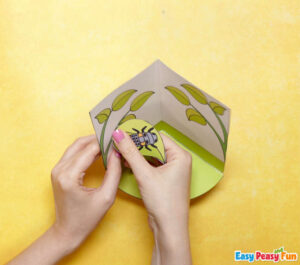 3D Ladybug Life Cycle Craft - Easy Peasy and Fun