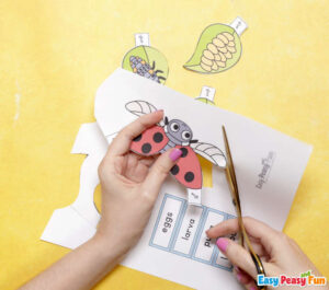 3D Ladybug Life Cycle Craft - Easy Peasy and Fun